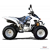 Quadzilla 250e Road Legal Quad Bike