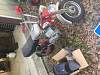 1970 Rupp Roadster 70 mini trail bike, Vintage barn find! no reserve