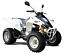 Quadzilla 250e Road Legal Quad Bike