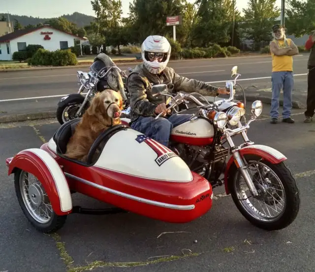 1977 H-D FXE 74" Shovelhead Rare Jawa Sidecar Combo Classic Old School Hack