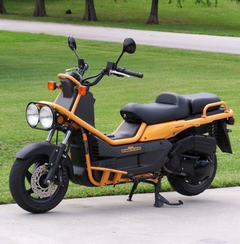 2005 Honda Big Ruckus 250 cc Scooter with 1848 miles - Garage Kept ...