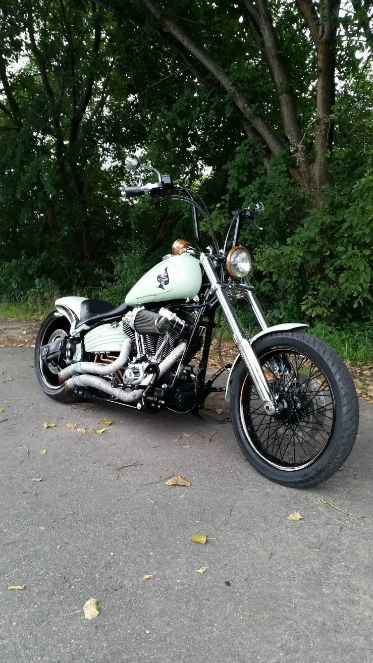 CUSTOM 2009 Harley Davidson FXCW Rocker C Softail