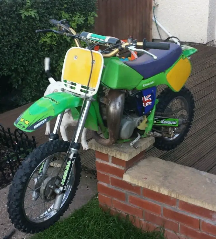 Kawasaki kx60