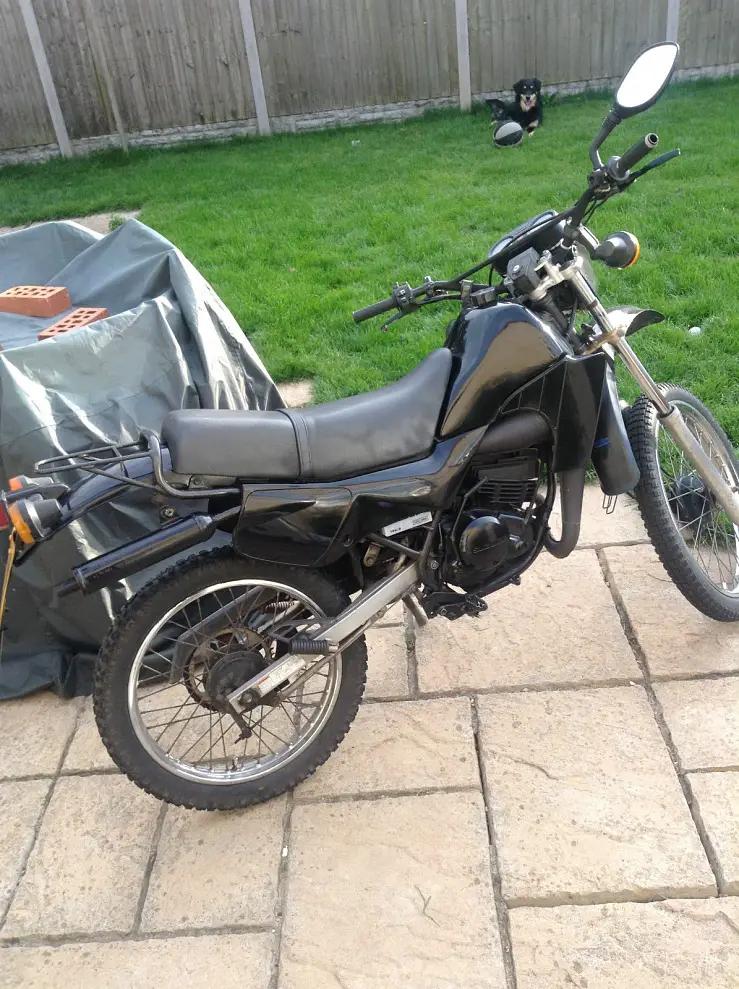 Suzuki TS50