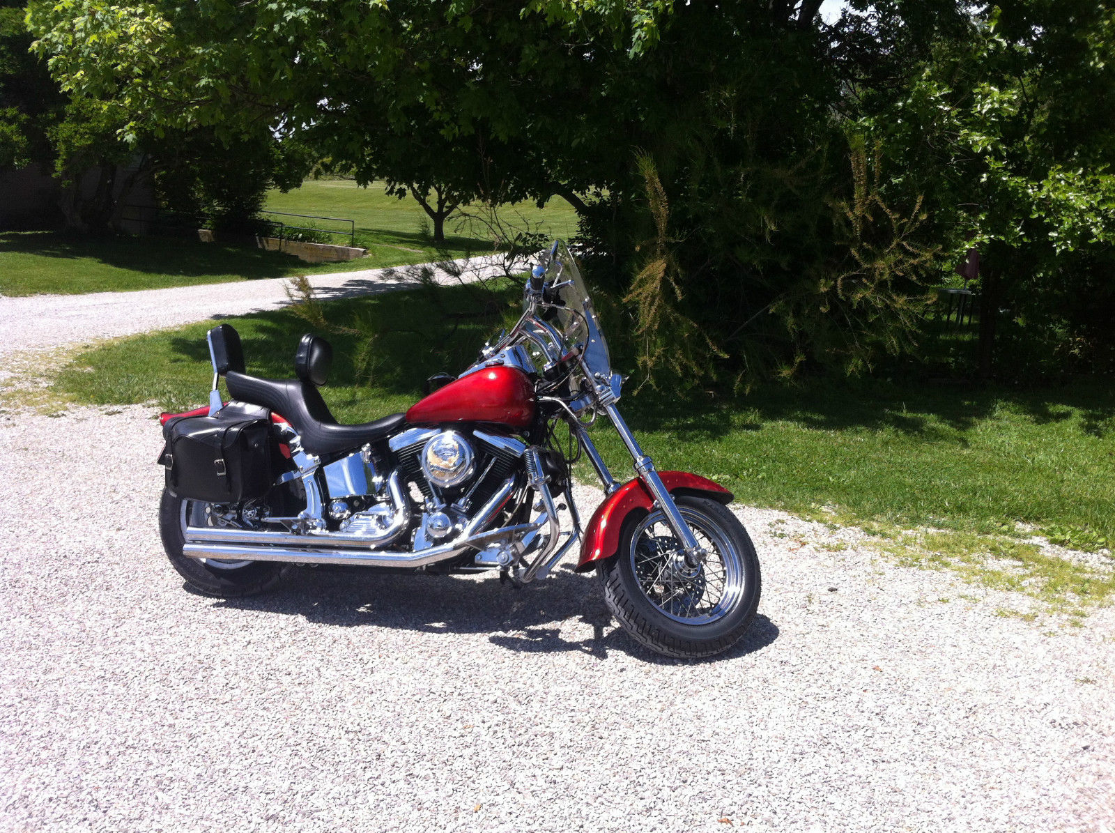 1995 Harley Davidson Softail Custom