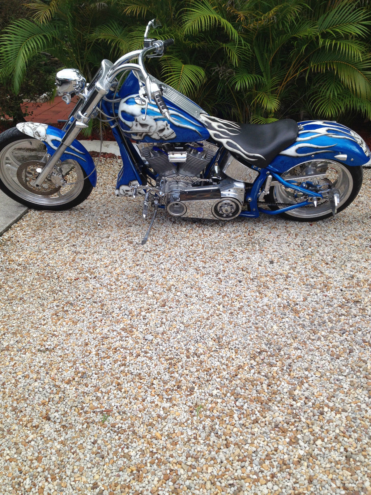 2001 Softtail Custom Bike