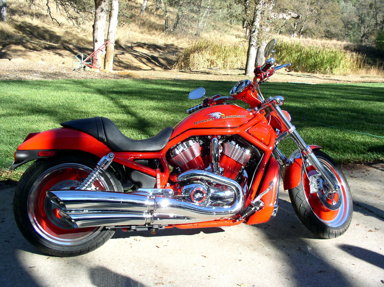 2002 Harley Davidson V-Rod Custom