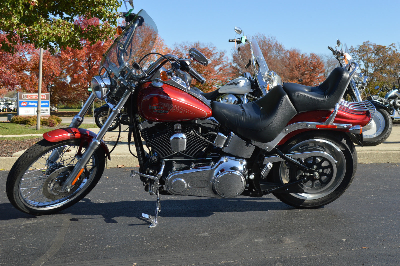 2007 H-D?® Softail?® Custom