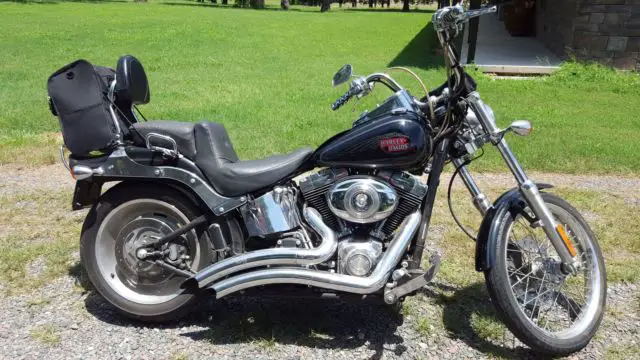 .2007 HD Softail Custom