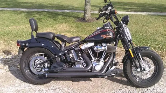 2009 Harley-Davidson - Cross Bone - Extras