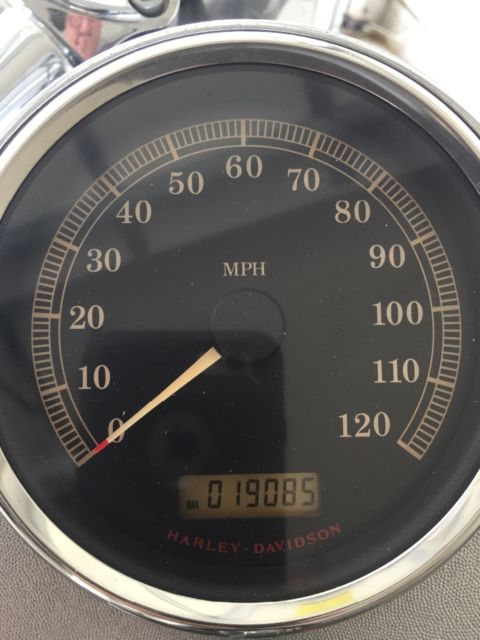 2009 Softail Custom