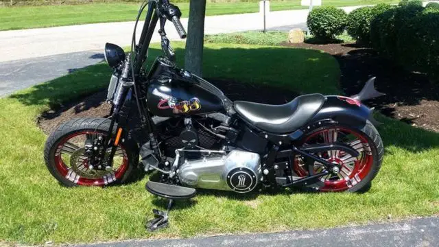2011 HARLEY-DAVIDSON SOFTAIL CROSS BONES CUSTOM