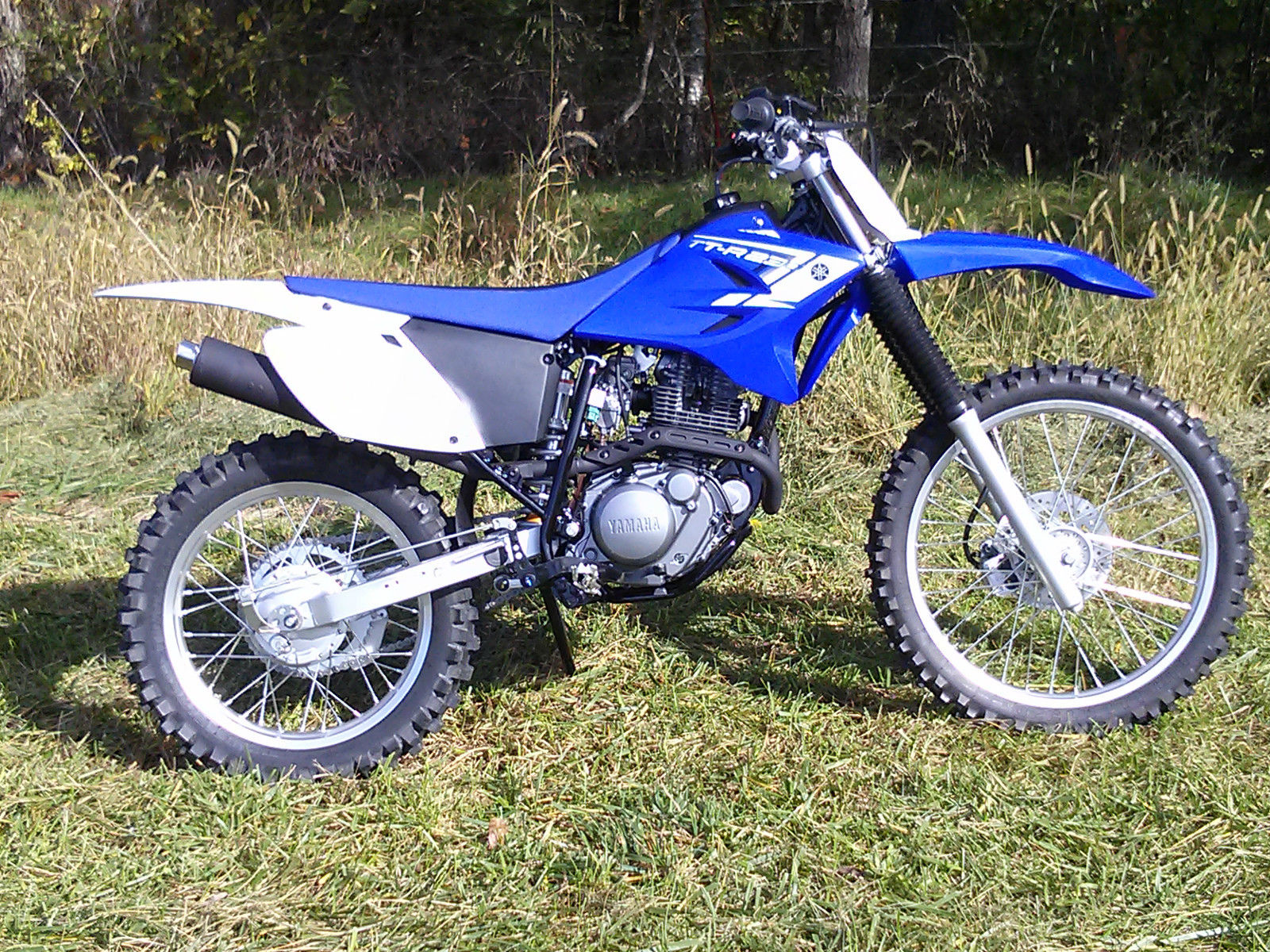 2013 Yamaha TT-R 230