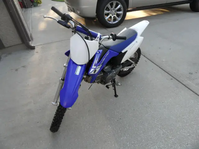 2013 Yamaha TTR 110