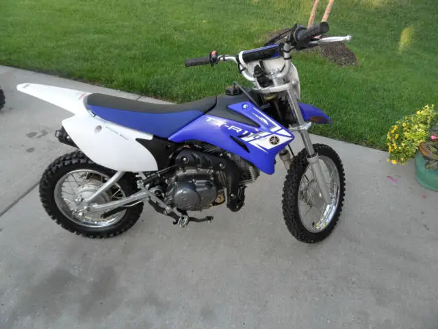 2013 Yamaha TTR 110