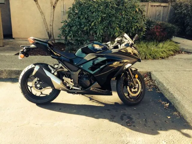 2014 Custom Ninja 300