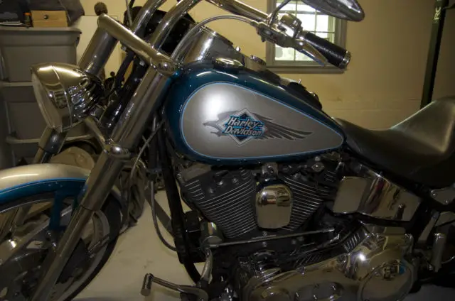 95 Harley Softail Custom