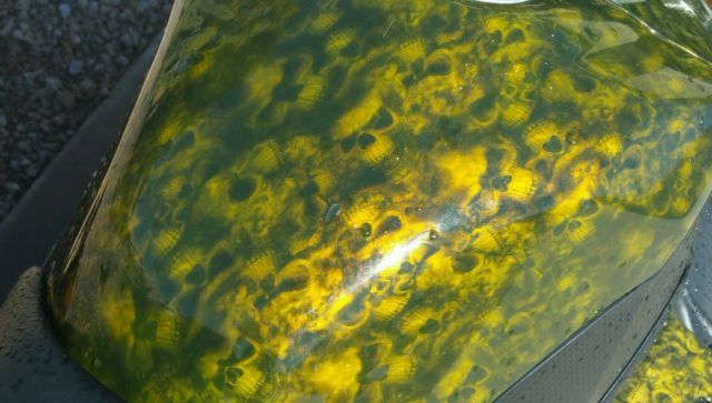 Custom 2009 Yamaha YZF-R1