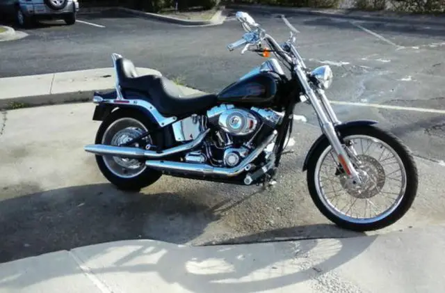 Harley Daidson Fxstc softail