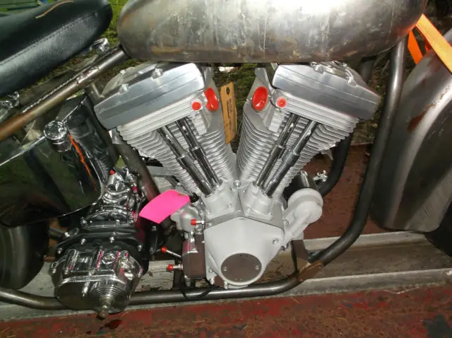 Harley Davidson powered project build