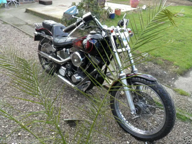 Harley Softail Custom