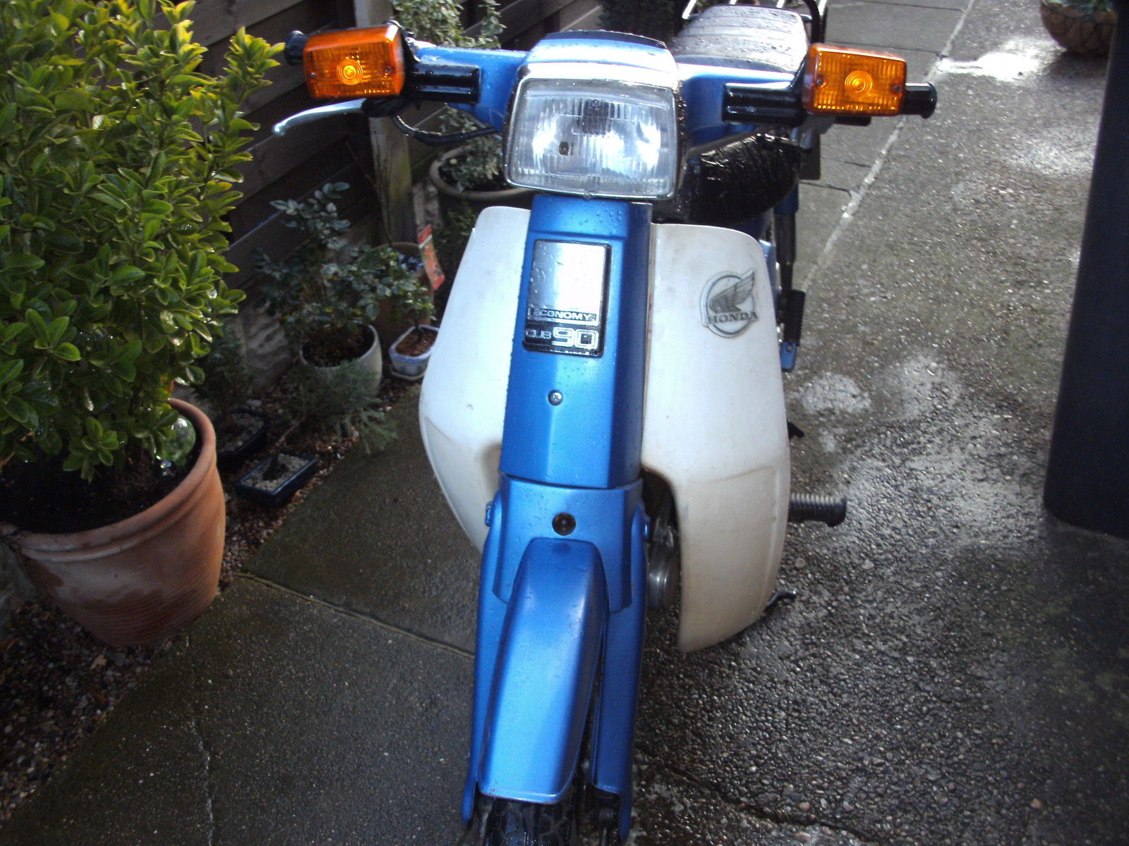 HONDA BLUE