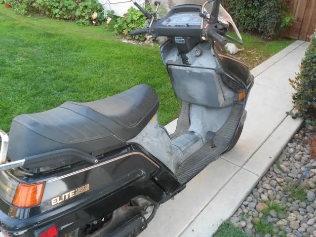 Honda Elite Ch 250 Scooter Black and Gold Working