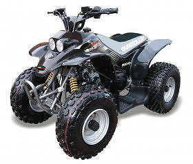 Quadzilla R100