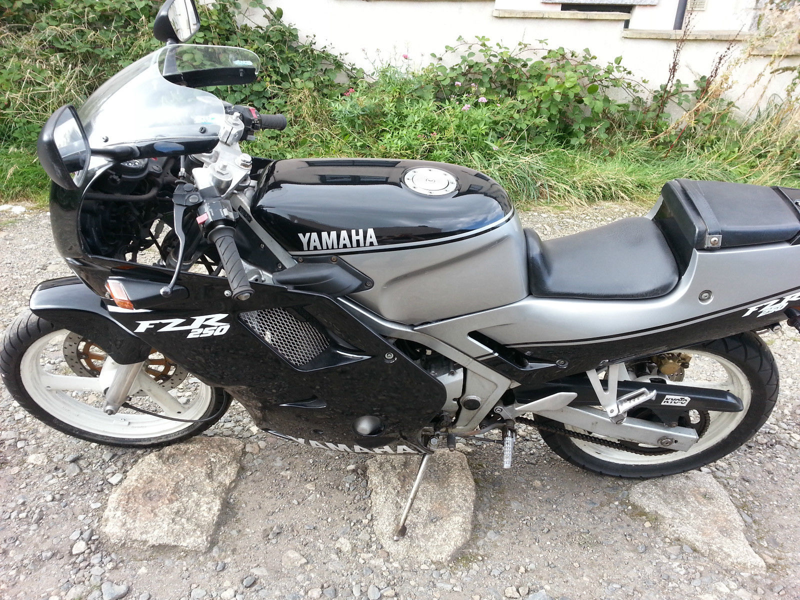 Yamaha FZR250