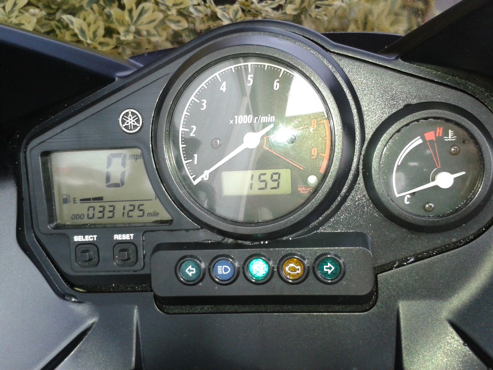 Yamaha TDM 900 2003 (53)